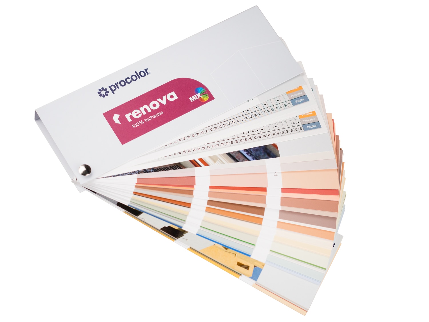 Colores Todas nuestras colecciones de colores | Procolor