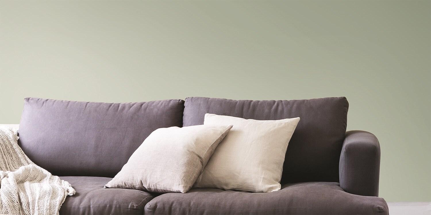 Colours Colour Collections - Paint & Colour Palette | DTPE